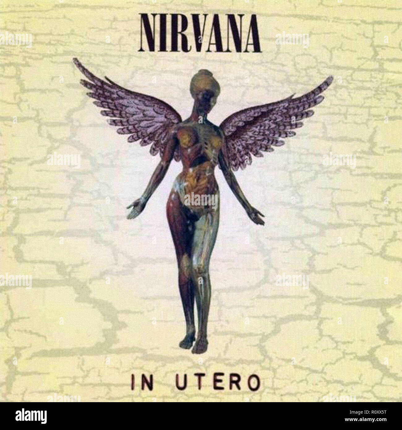 Nirvana In Utero Angel