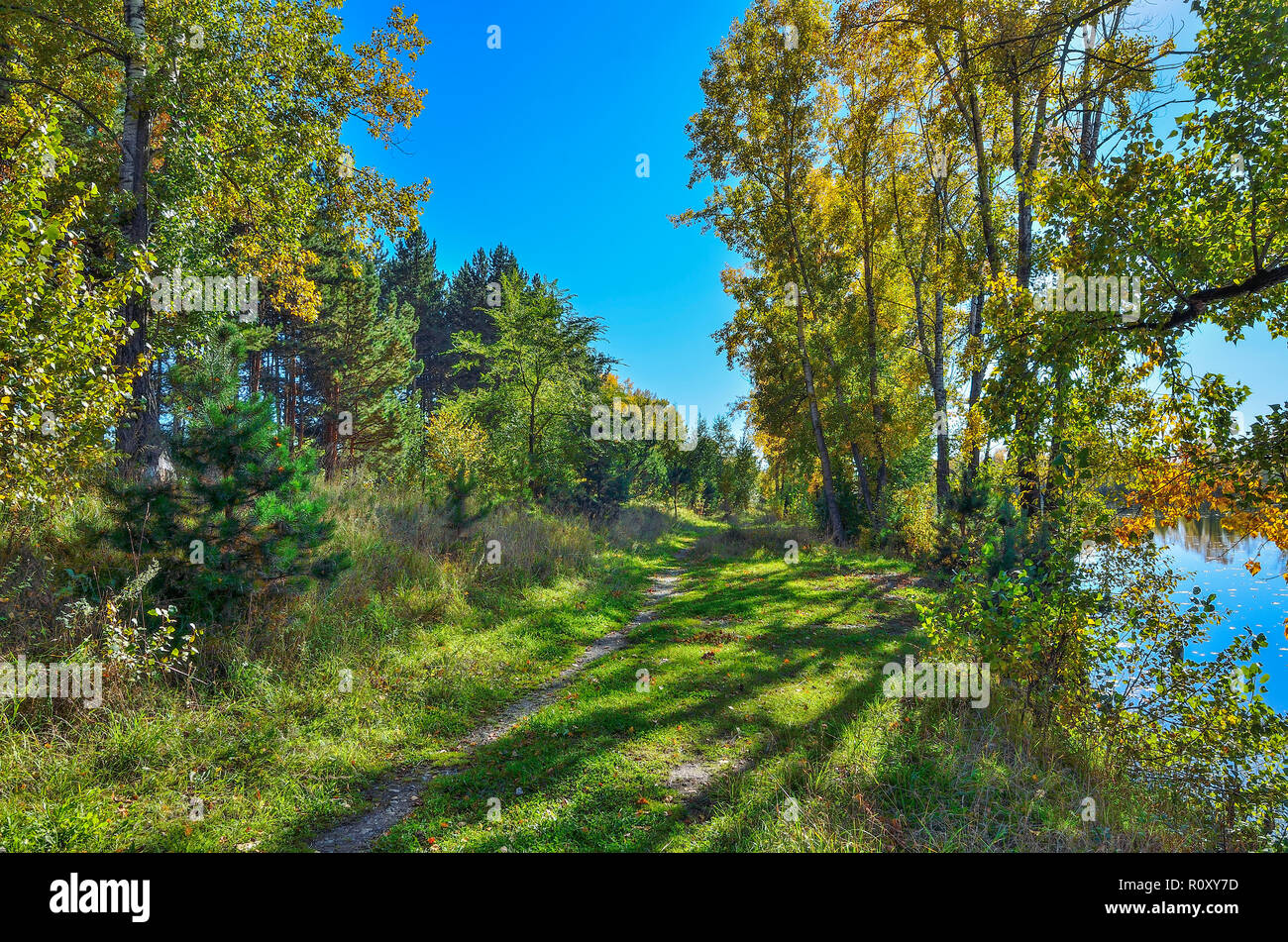 Warm sunny September landscape on the shore of lake. Blue sky and ...
