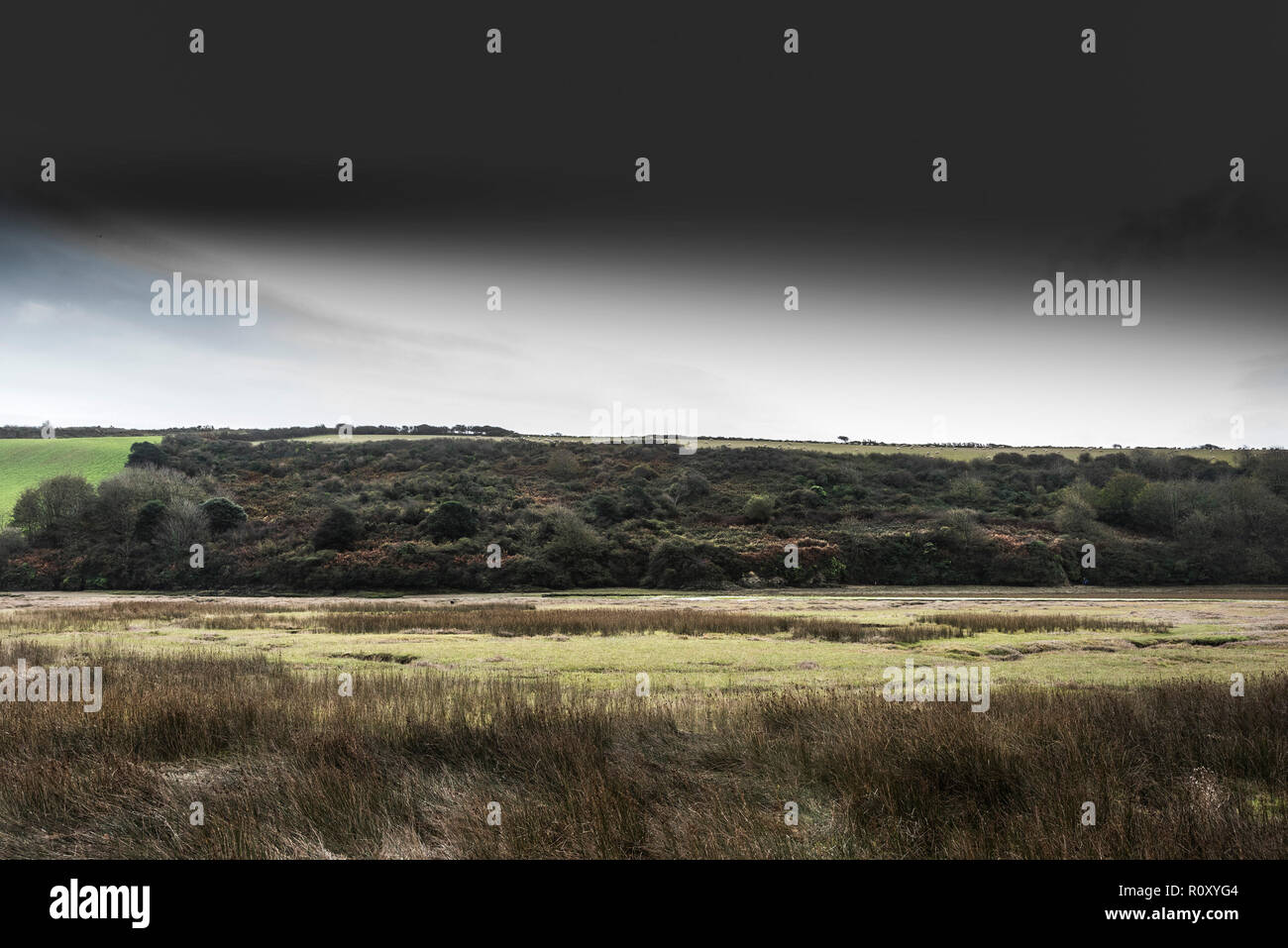 The salt marsh of the Gannel Estuary in Newquay Cornwall Stock Photo ...