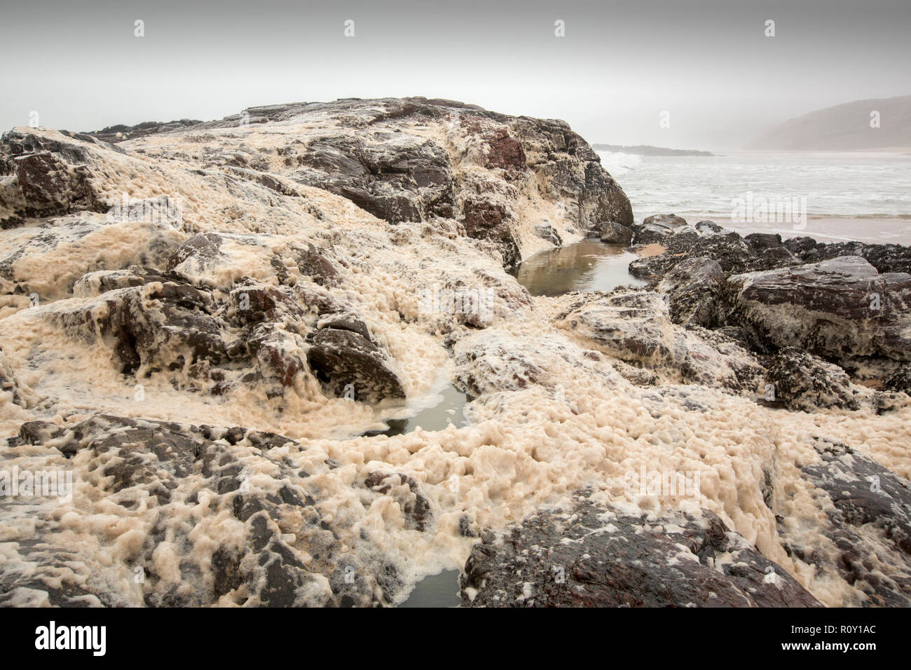 Spume or sea foam coating a rock outcrop on the beach at Sandwood Bay ...