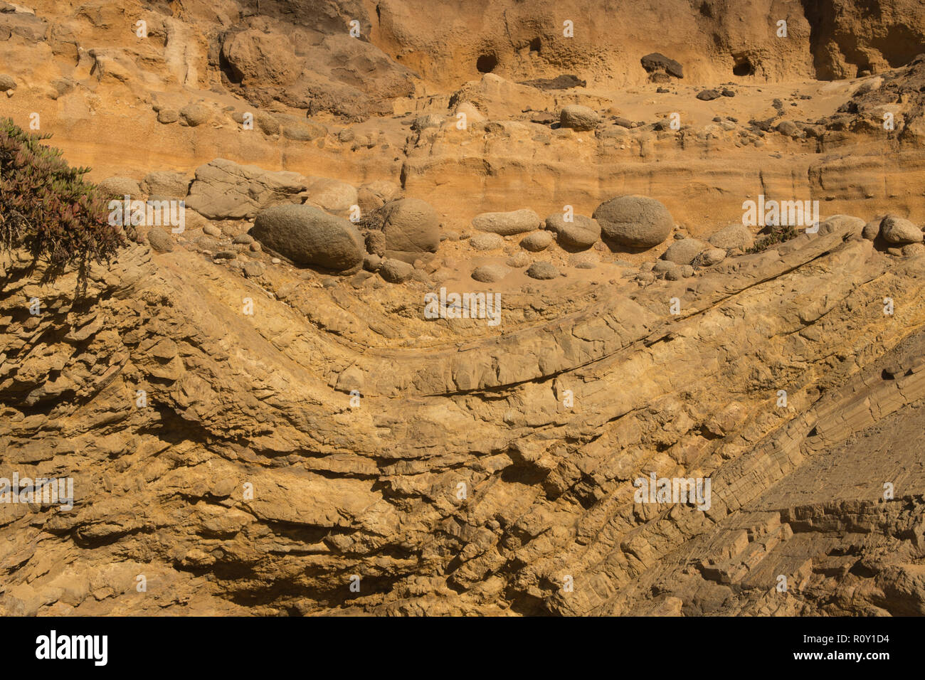Folded strata on Big Sur coast, California Stock Photo - Alamy