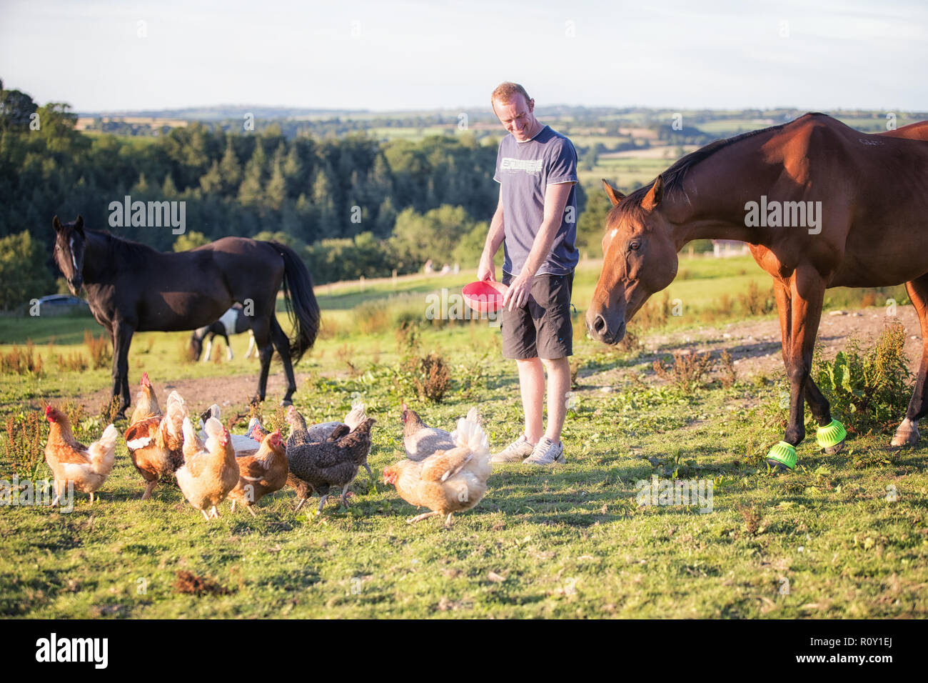 Welsh glamping hi-res stock photography and images - Alamy