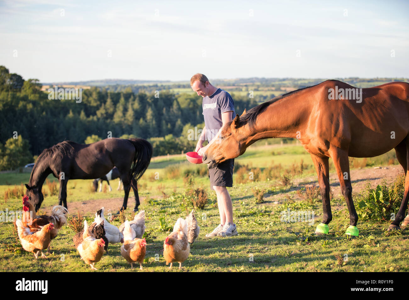 Welsh glamping hi-res stock photography and images - Alamy