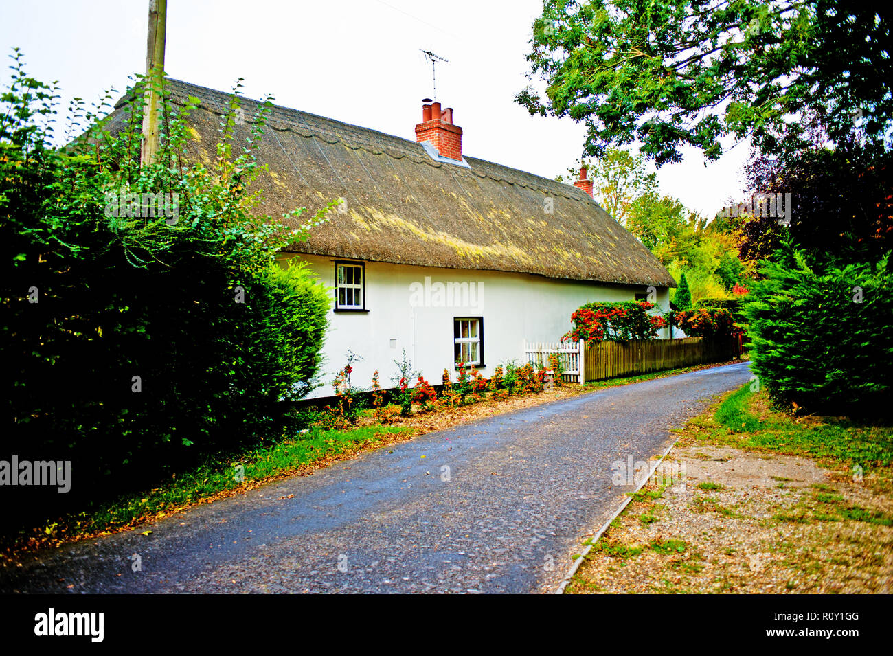 Thatched Cottage Bulford, Wiltshire, England Stock Photo - Alamy