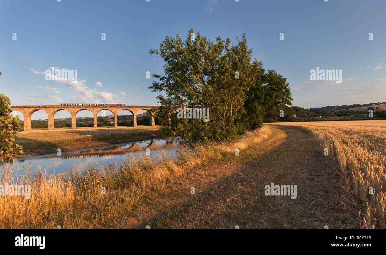 Northern rail sprinter train crossing Wharfedale viaduct over the River ...
