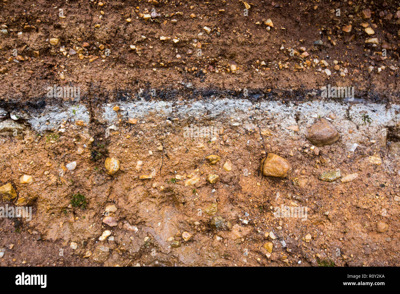 Podzol hi-res stock photography and images - Alamy