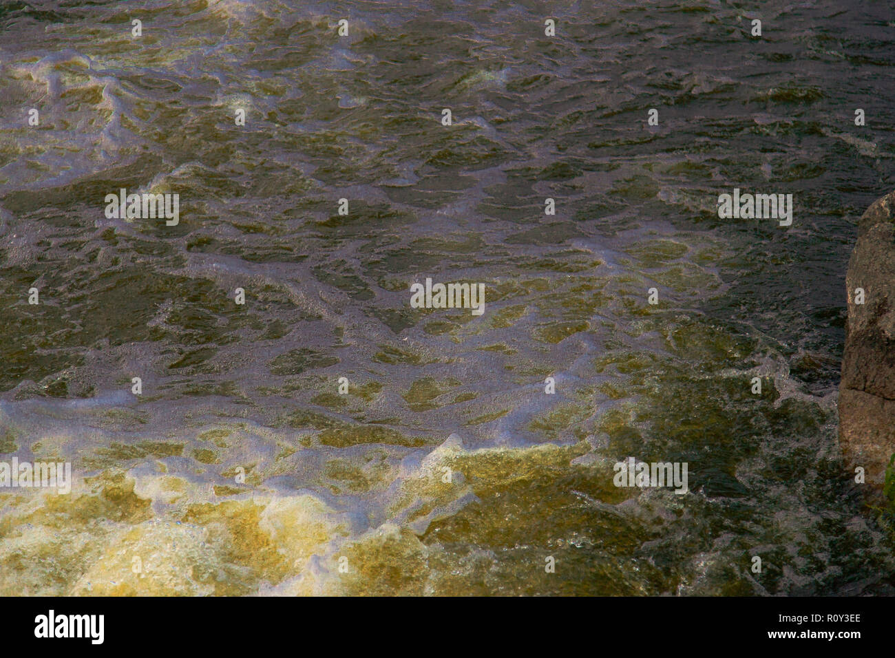 game of colors and shades of the mountain river flow around the rapids ...