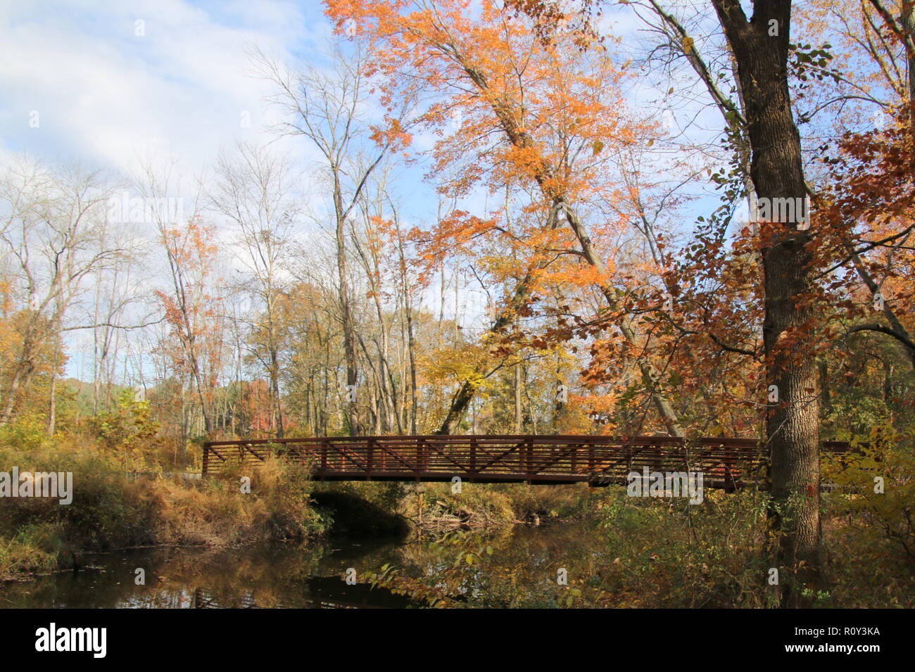 The footbridge and colorful trees make a beautiful landscape Stock ...