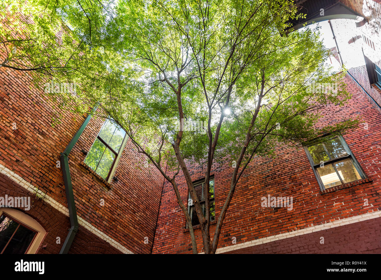 Brick buildings looking up on Alley street during day in Alabama city ...