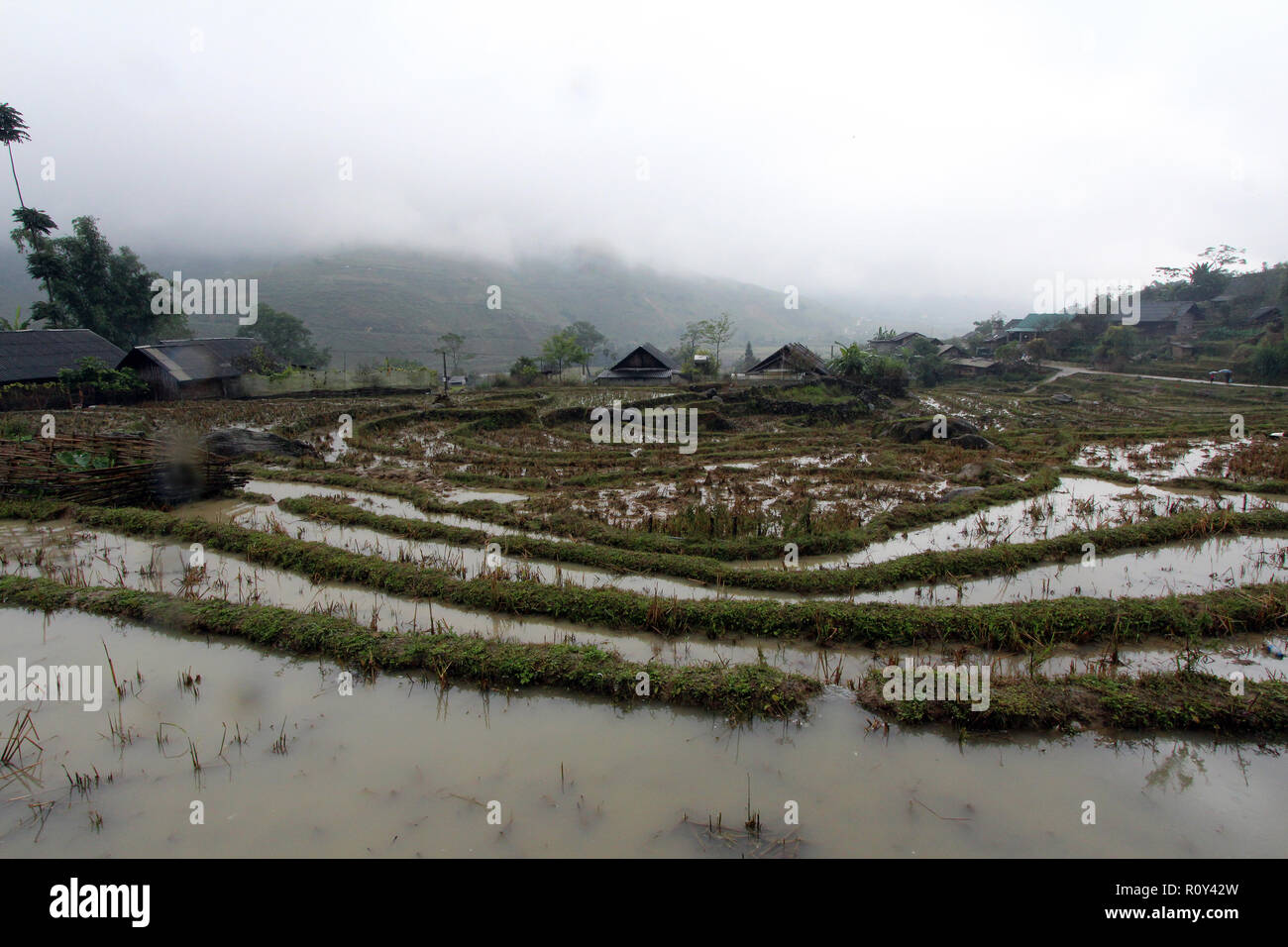 Rice paddies rain hi-res stock photography and images - Alamy