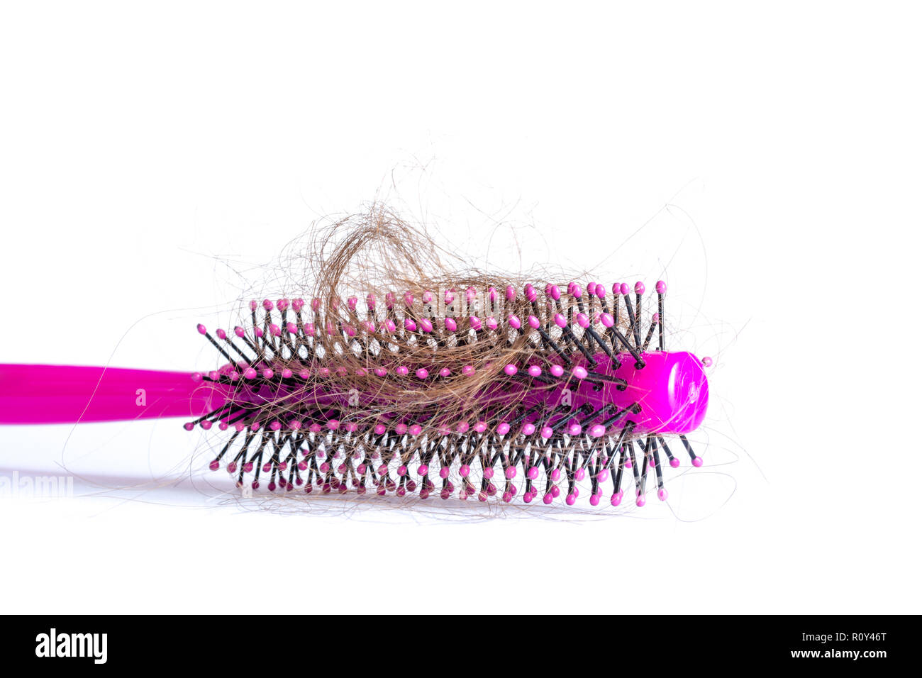 Hair Tufts Stock Photos & Hair Tufts Stock Images - Alamy