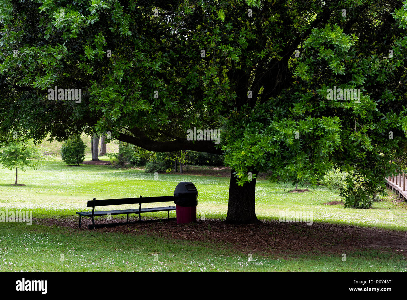 Trash Under Tree High Resolution Stock Photography and Images - Alamy