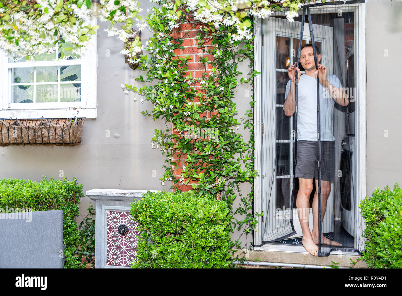 Insect door screen hi-res stock photography and images - Alamy
