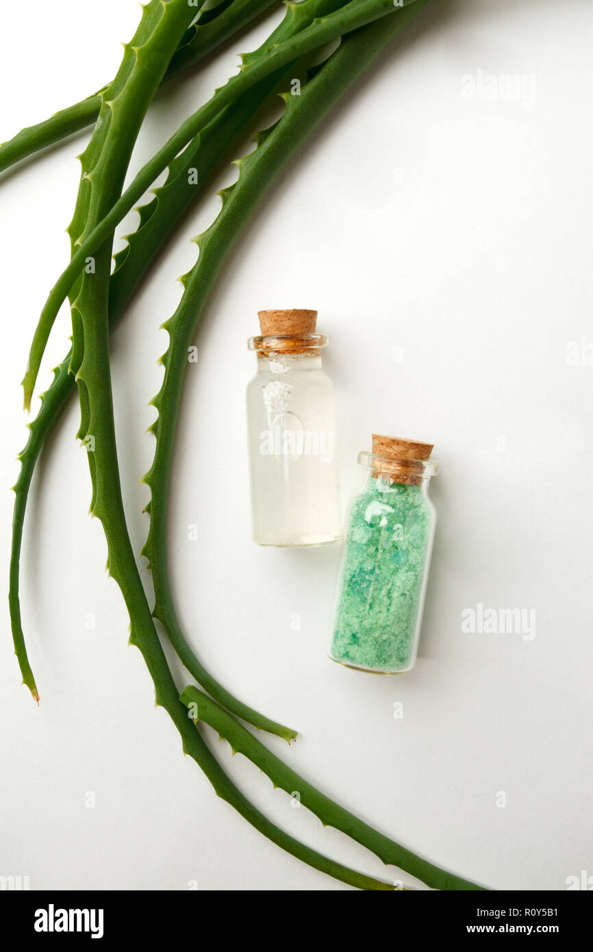 fresh aloe vera leaves, green aromatic spa salt and glass of aloe vera ...