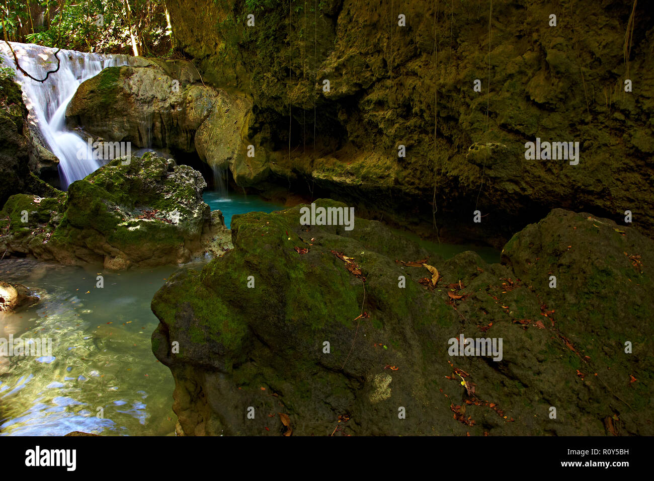 Somerset falls, Portland, Jamaica Stock Photo - Alamy