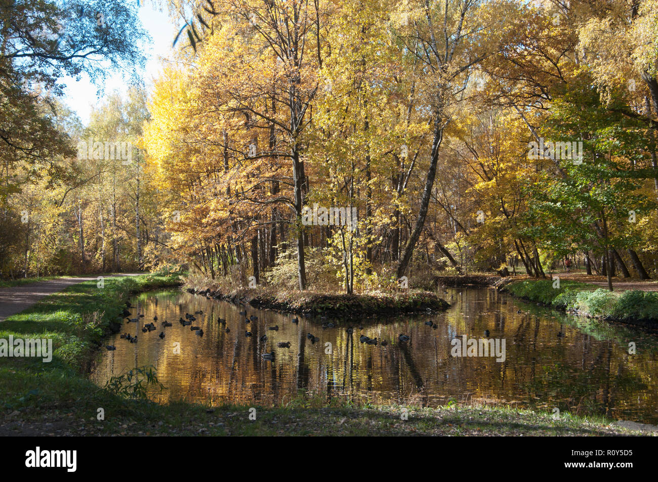 Autumn landscape in Sokolniki park in Moscow, Russia Stock Photo - Alamy