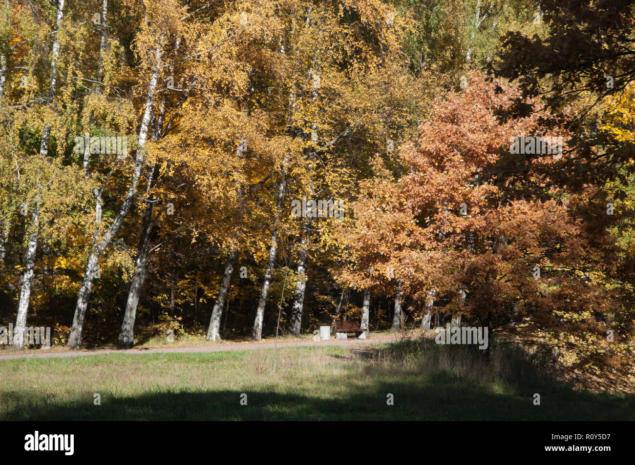 Sokolniki park hi-res stock photography and images - Alamy