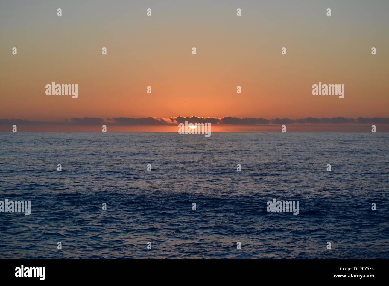 Best_photos hi-res stock photography and images - Alamy