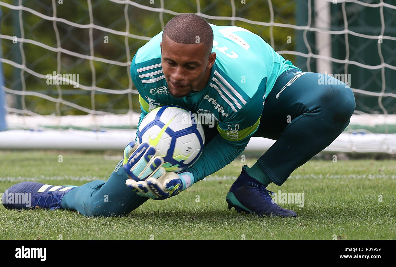 SÃO PAULO, SP - 07.11.2018: TREINO DO PALMEIRAS - Goalkeeper Anderson ...