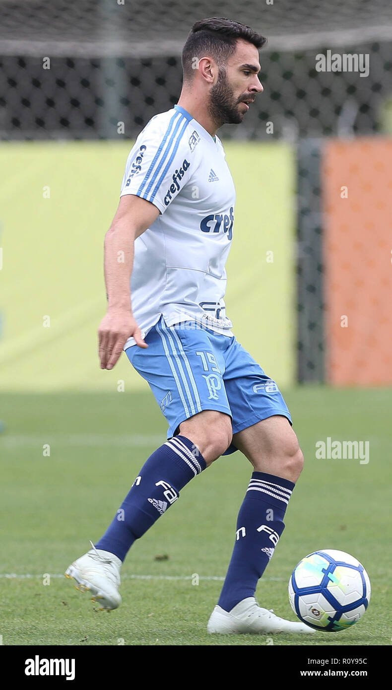 SÃO PAULO, SP - 07.11.2018: TREINO DO PALMEIRAS - The player Bruno ...