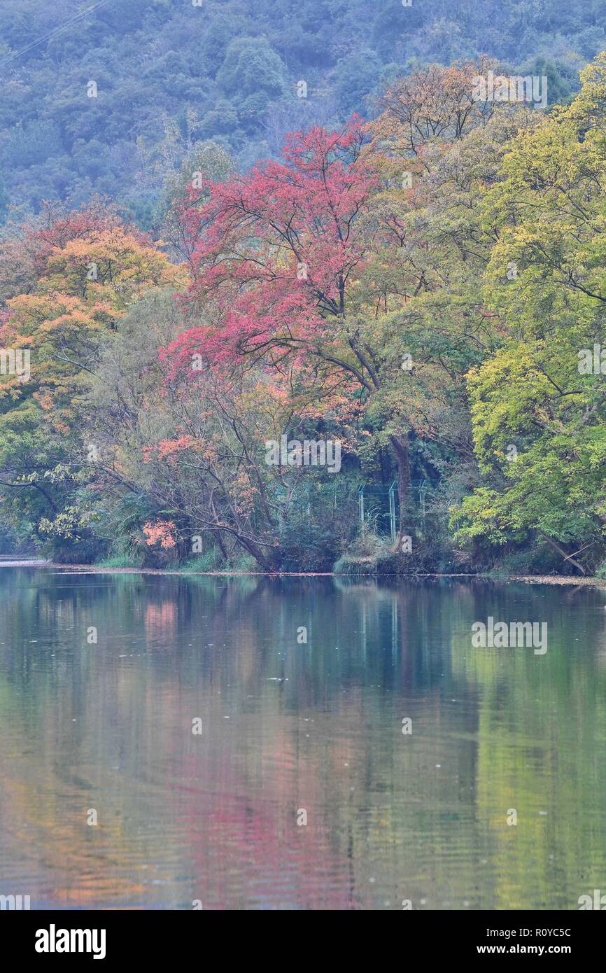 Guiyang, Guiyang, China. 8th Nov, 2018. Guiyang, CHINA-Breathtaking ...