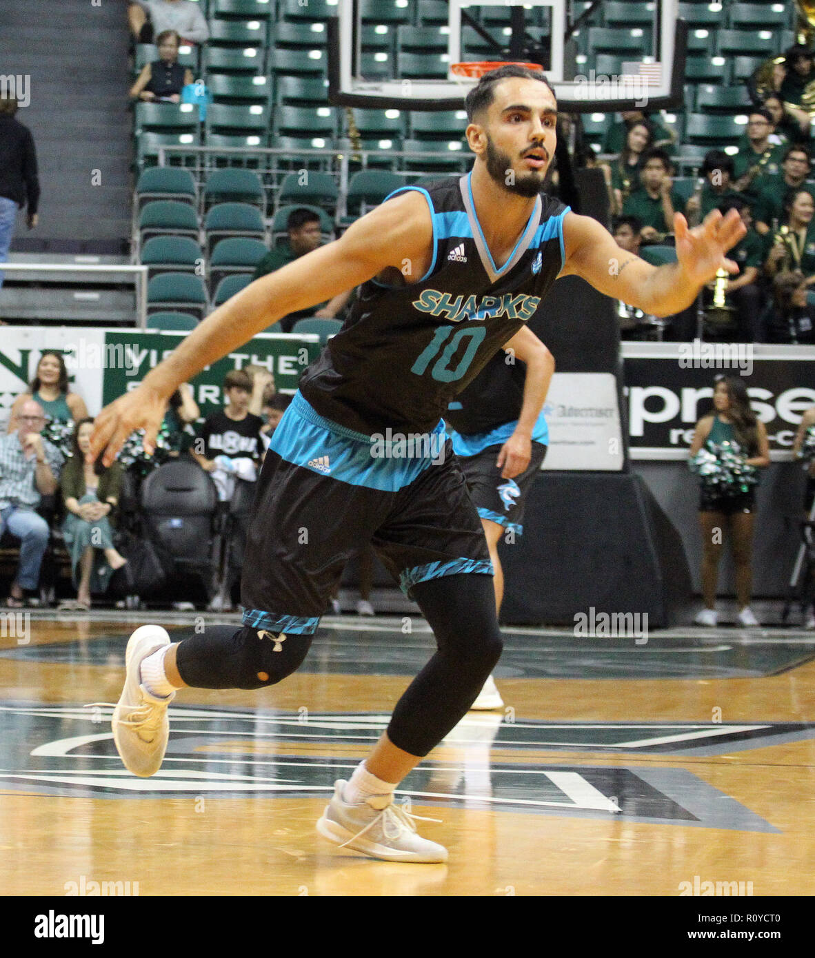 November 2, 2018 - Hawaii Pacific Sharks guard Emil Isovic #10 during ...
