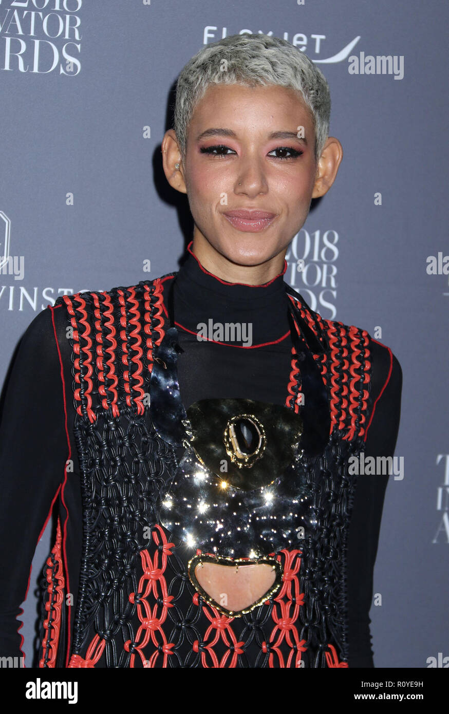 New York City, New York, USA. 7th Nov, 2018. Model DILONE attend the ...