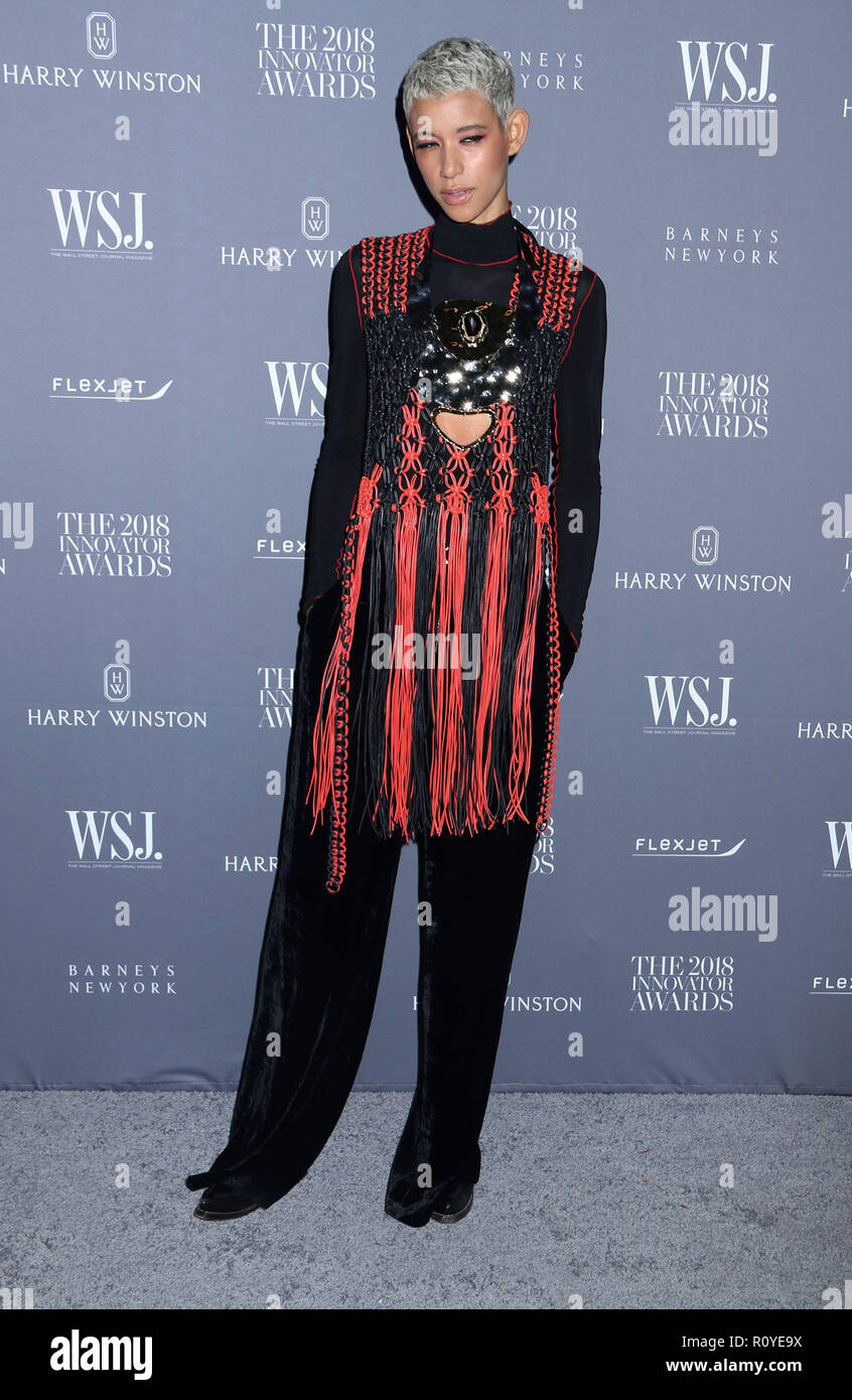 New York City, New York, USA. 7th Nov, 2018. Model DILONE attend the ...