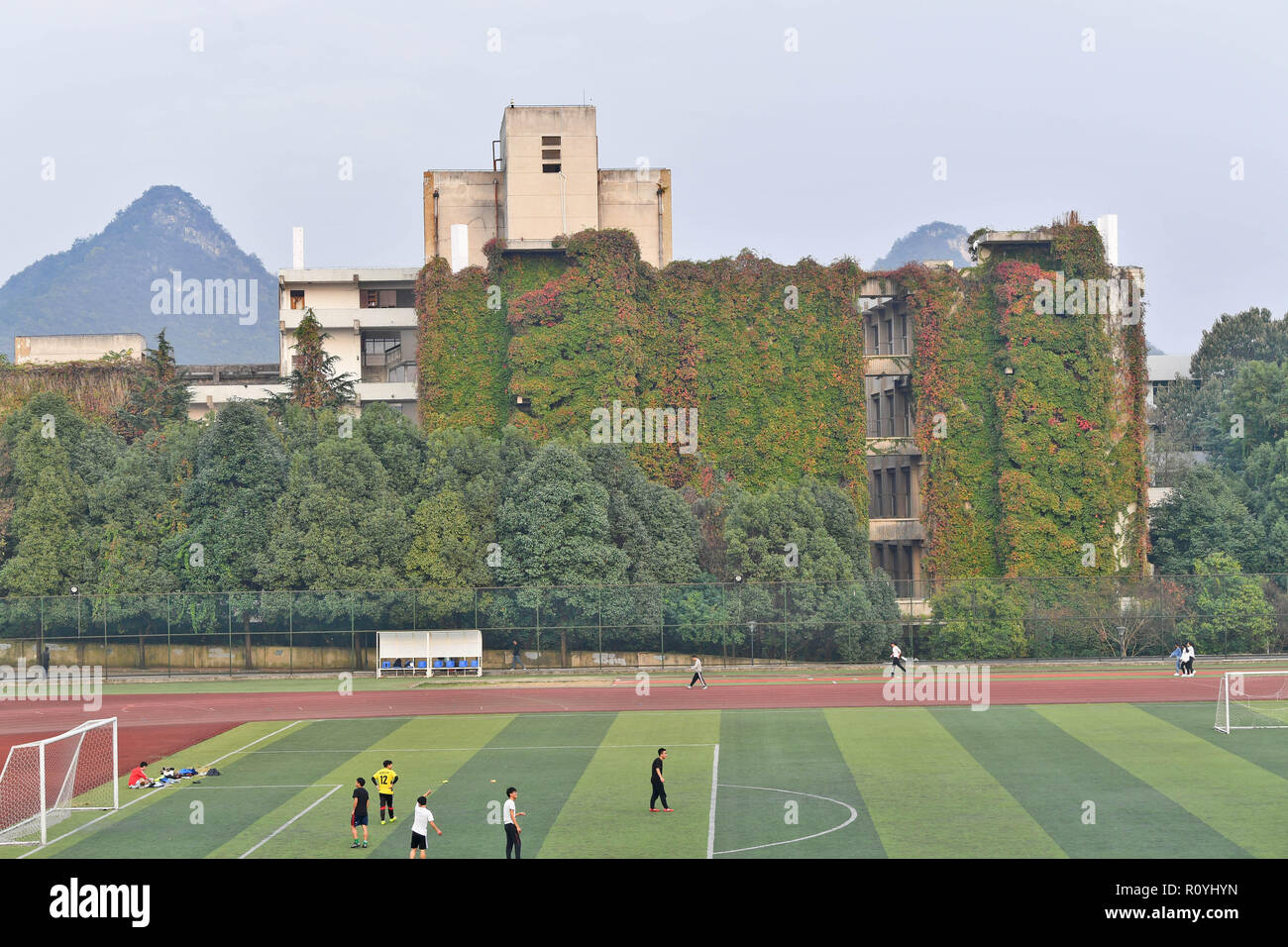 Guiyang, Guiyang, China. 8th Nov, 2018. Guiyang, CHINA-Ivy-covered ...