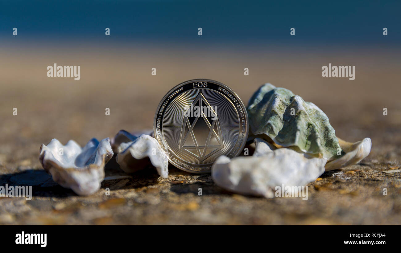 Coin with shells hi-res stock photography and images - Alamy