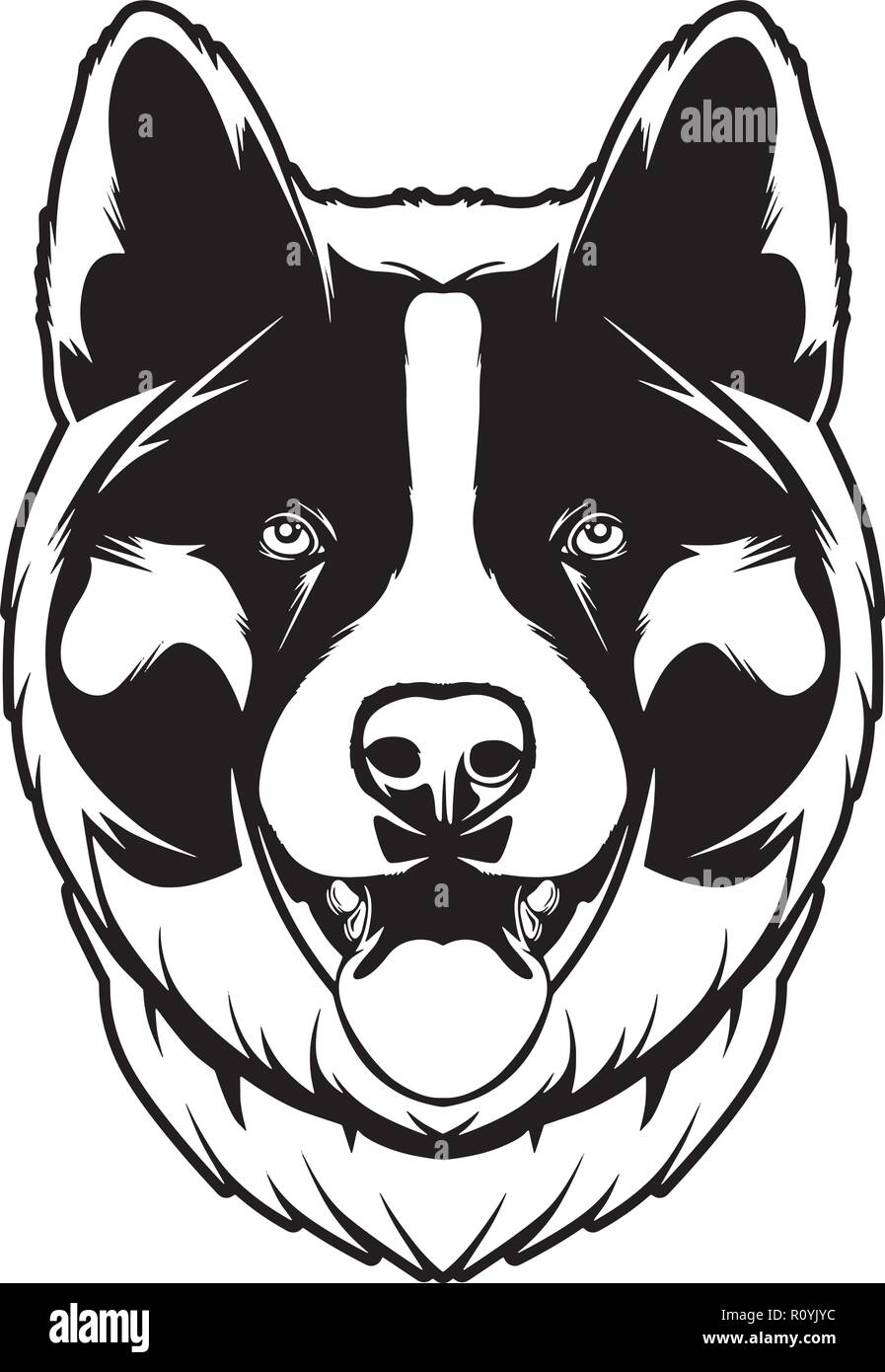 Akita Dog Breed Head Isolated Pedigree Pet Portrait Smiling Happy Puppy ...