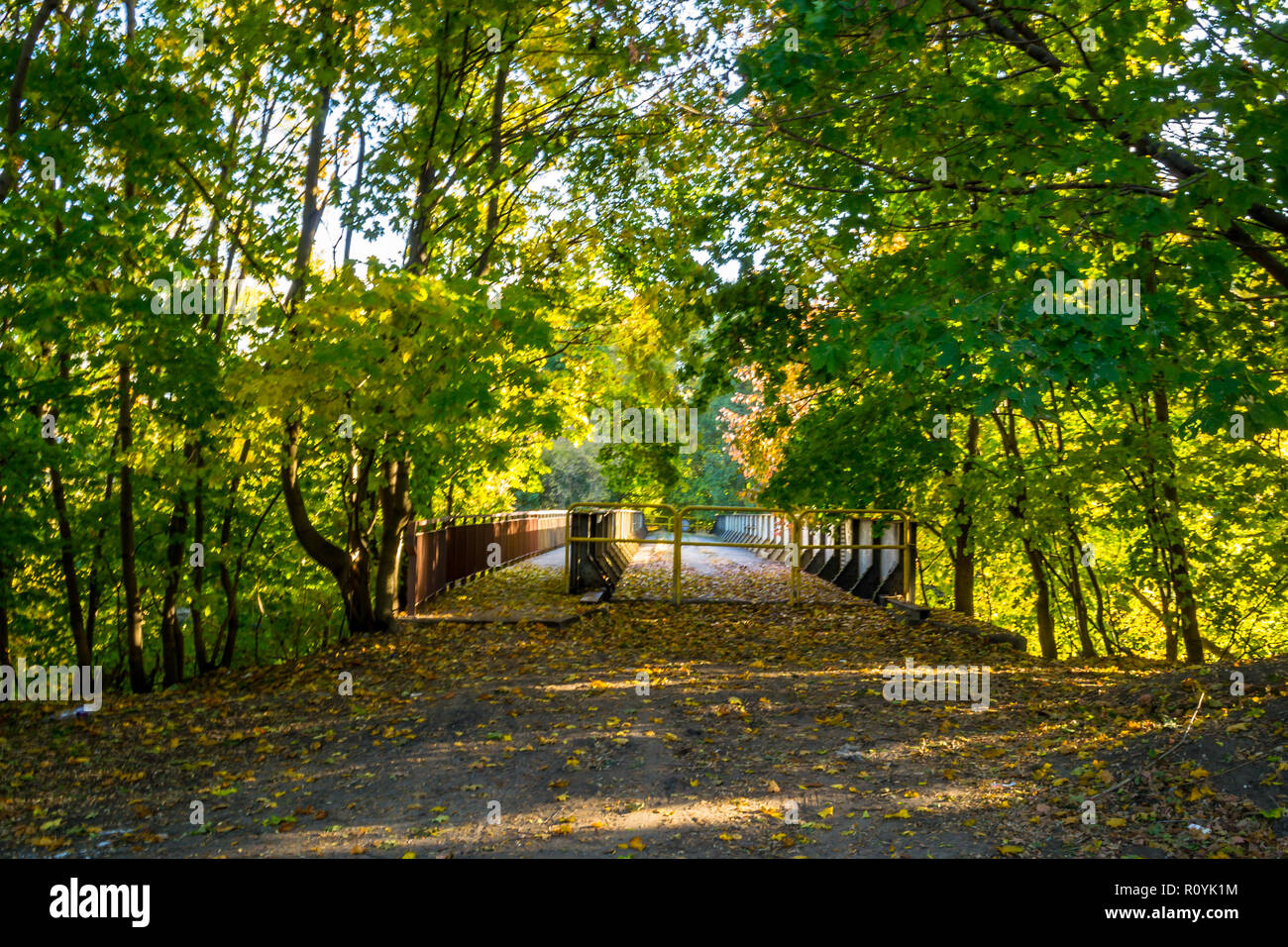Autumn color bridge park people hi-res stock photography and images - Alamy