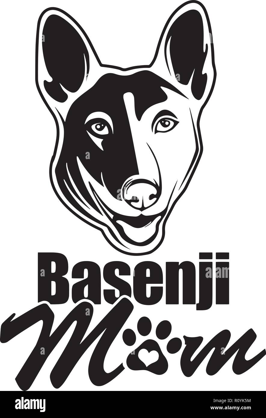 Basenji Dog Breed Head Isolated Pedigree Pet Portrait Smiling Happy ...