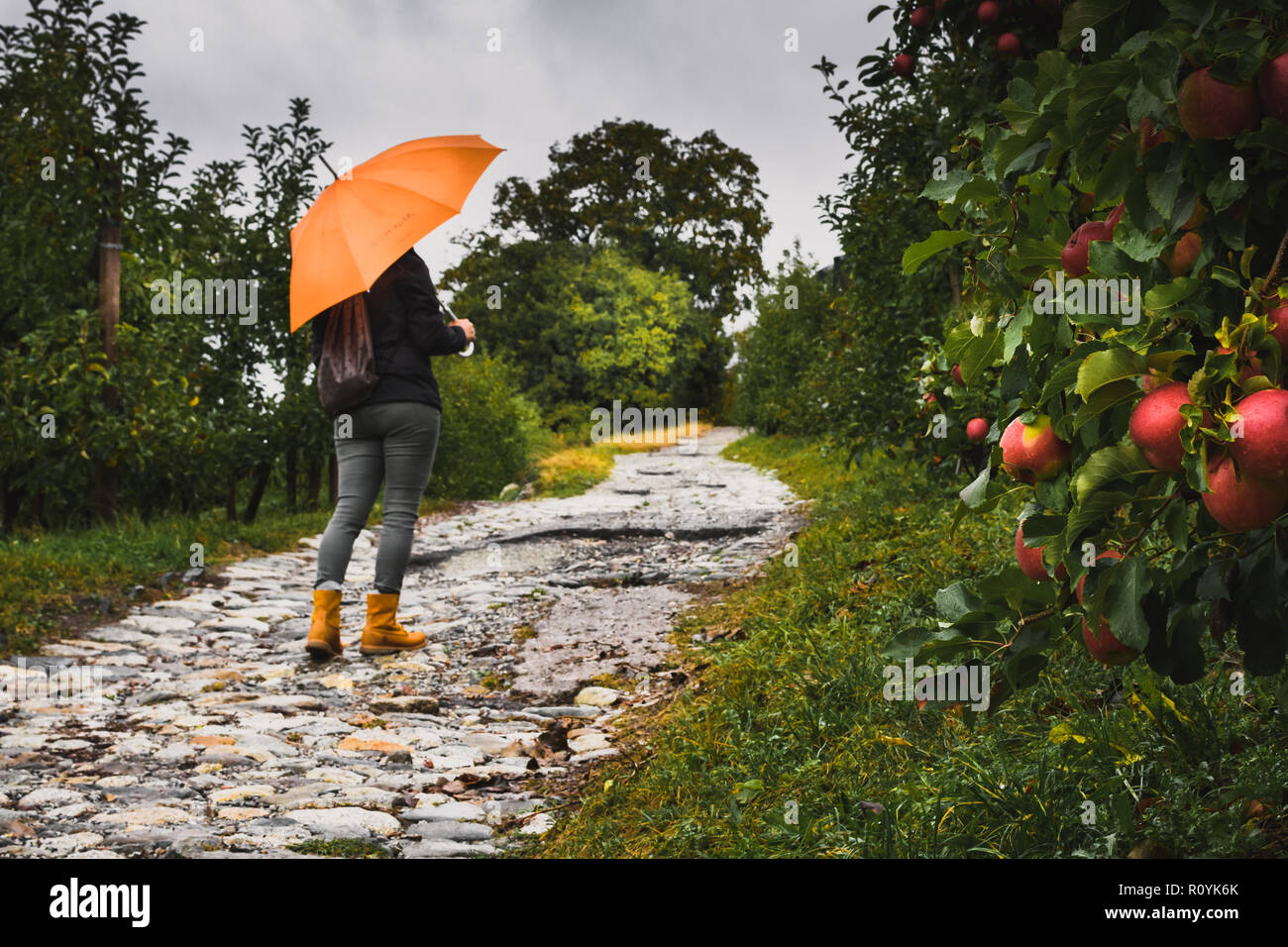 Wanderin hi-res stock photography and images - Alamy
