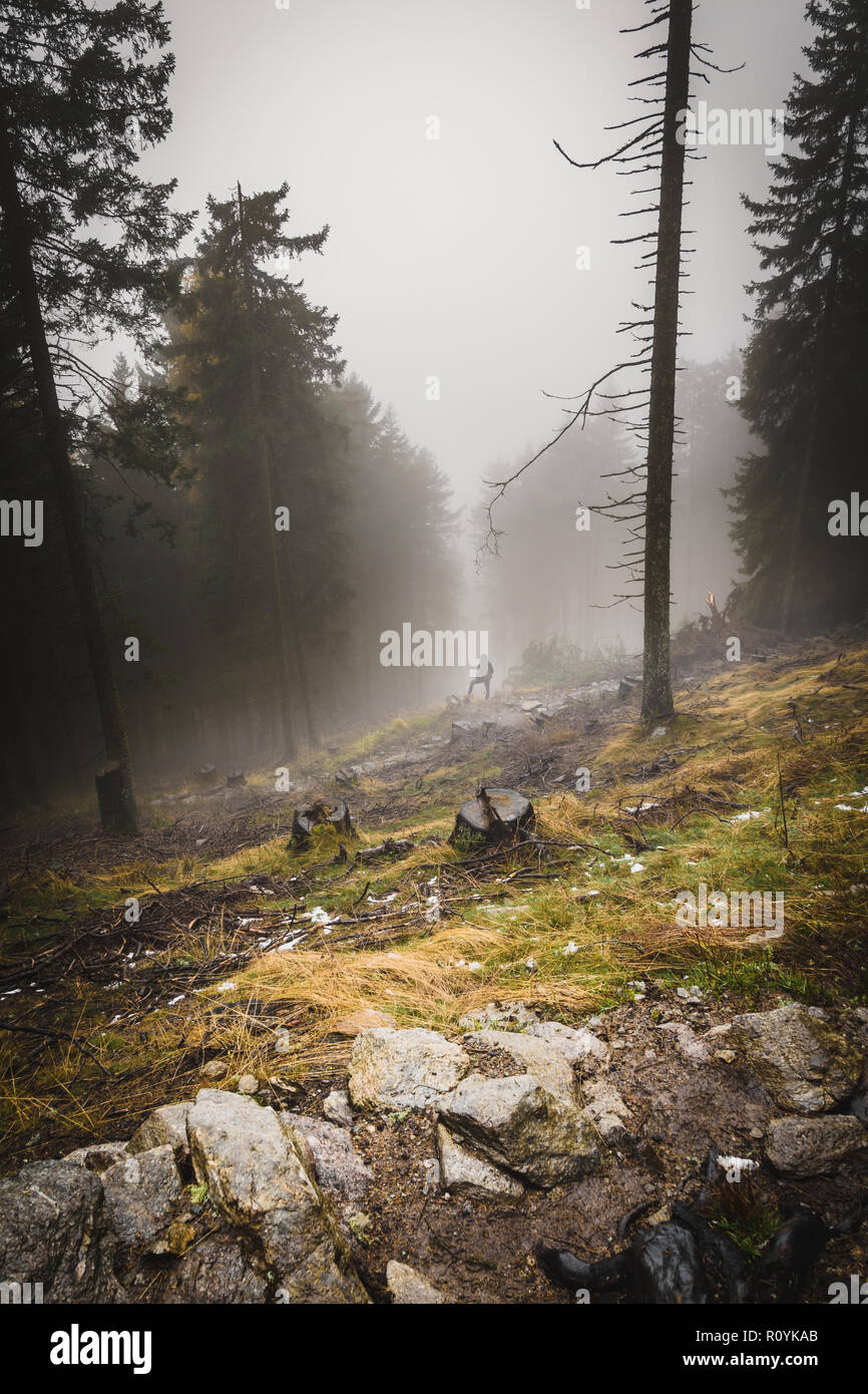 Mensch im nebel hi-res stock photography and images - Alamy