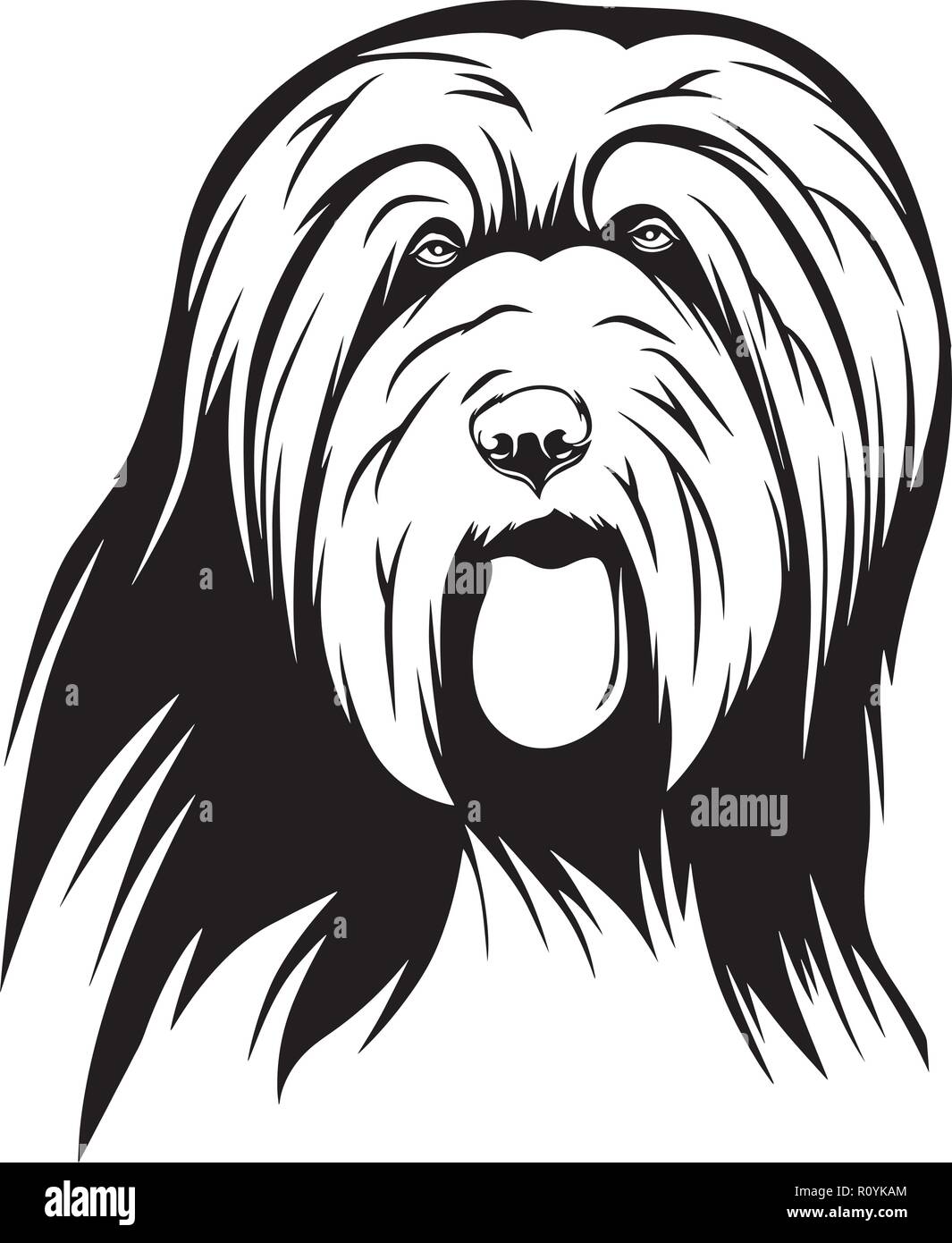 Bearded Collie Dog Breed Head Isolated Pedigree Pet Portrait Smiling ...
