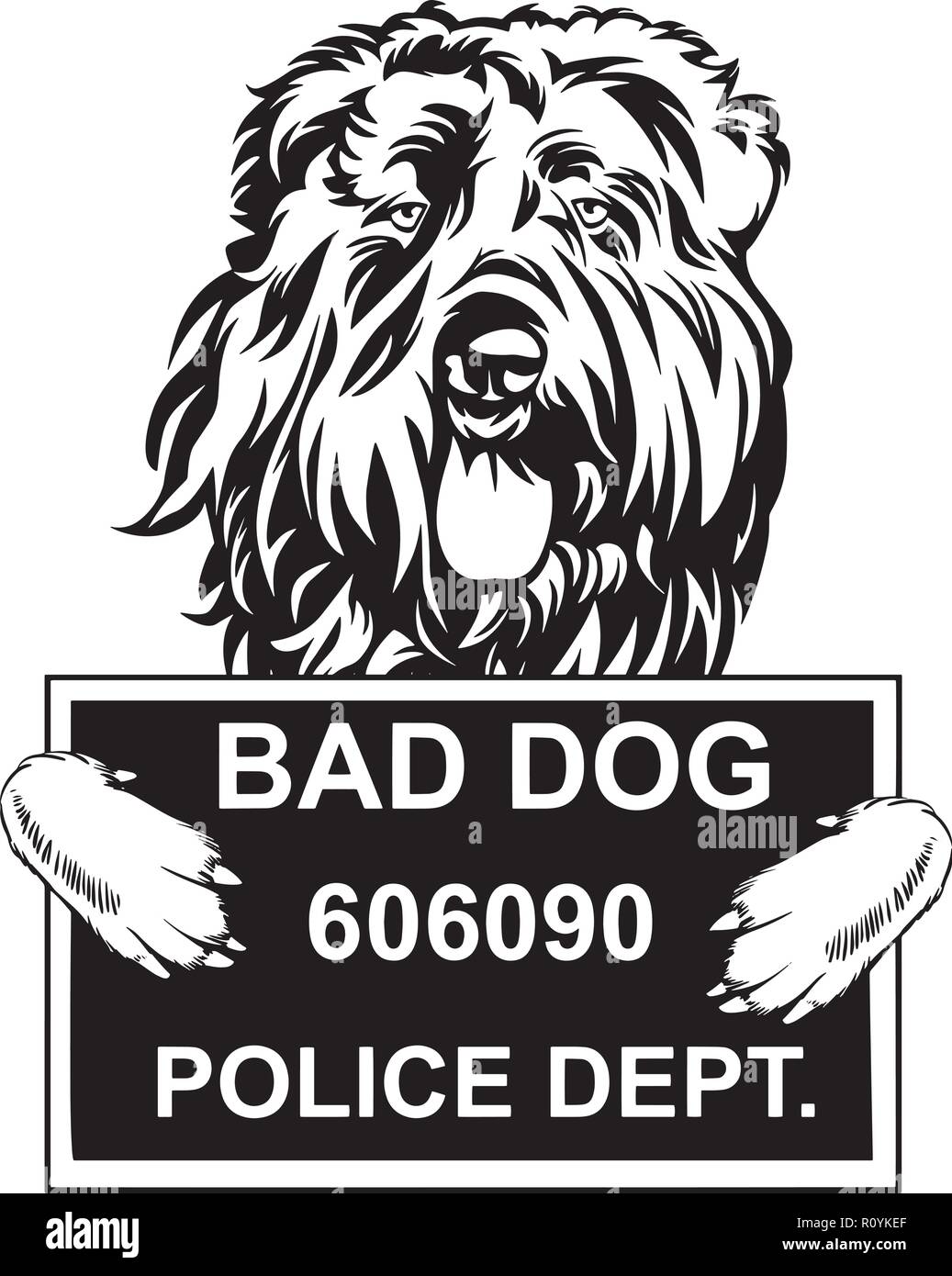 Bouvier Des Flandres Dog Breed Head Isolated Pedigree Pet Portrait ...