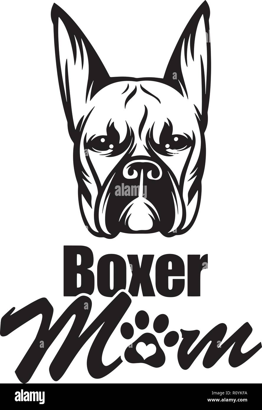 Boxer Dog Breed Head Isolated Pedigree Pet Portrait Smiling Happy Puppy ...