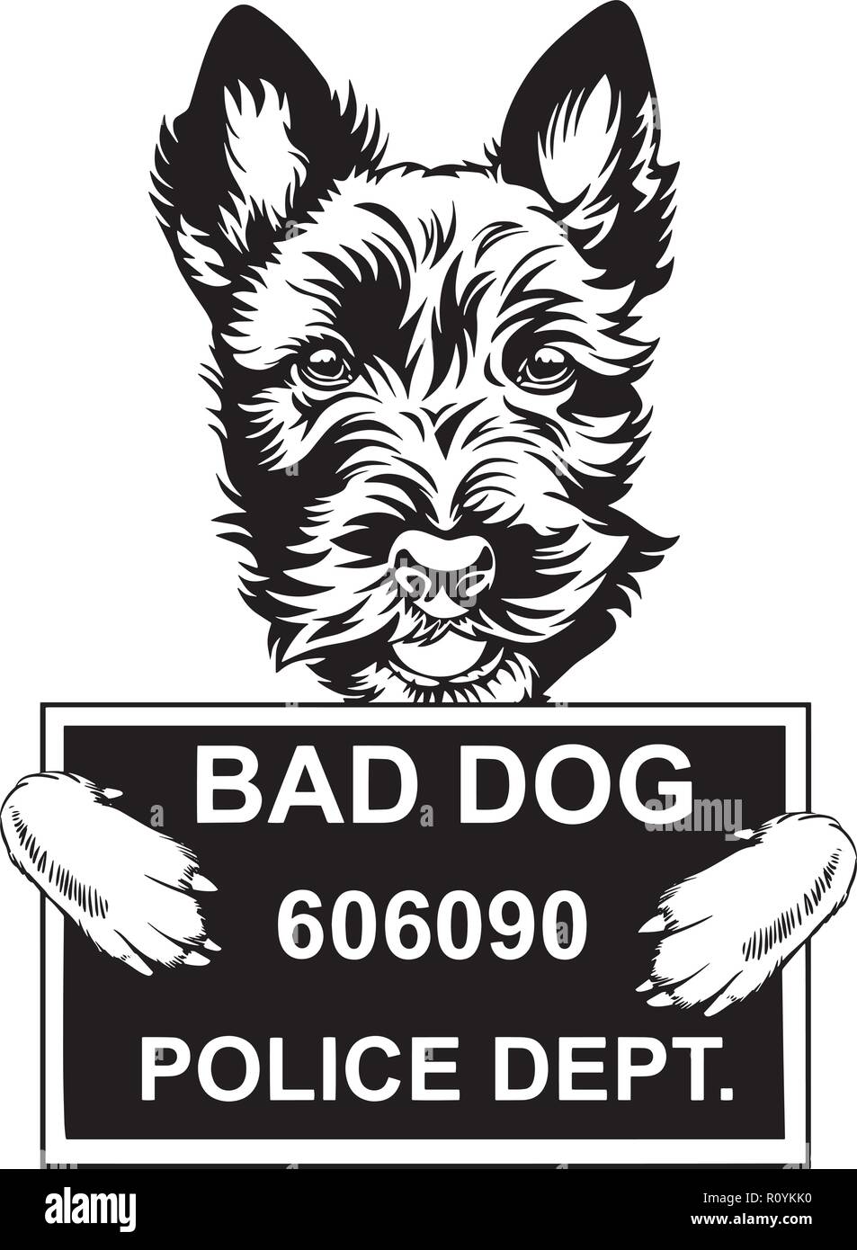 Caine Terrier Dog Breed Head Isolated Pedigree Pet Portrait Smiling ...