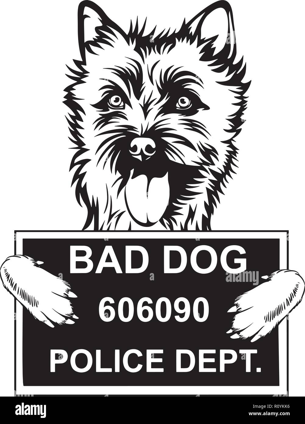 Caine Terrier Dog Breed Head Isolated Pedigree Pet Portrait Smiling ...