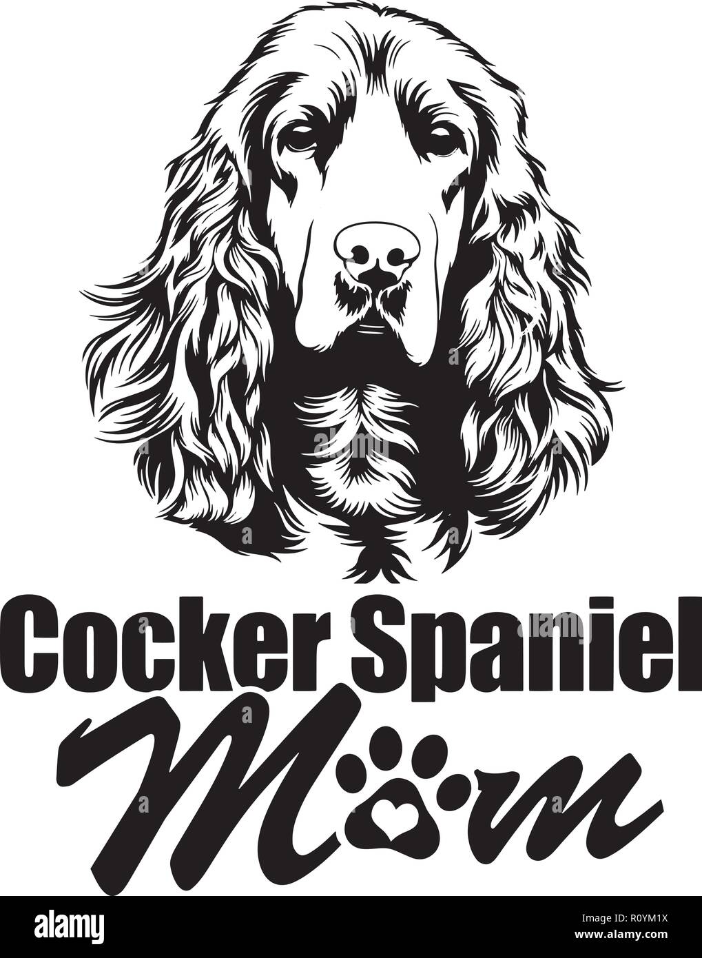Cocker Spaniel Dog Breed Head Isolated Pedigree Pet Portrait Smiling ...