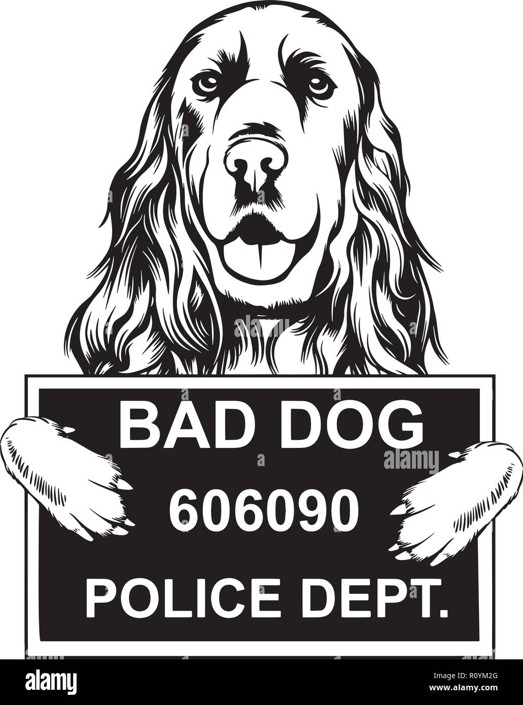 Cocker Spaniel Dog Breed Head Isolated Pedigree Pet Portrait Smiling ...