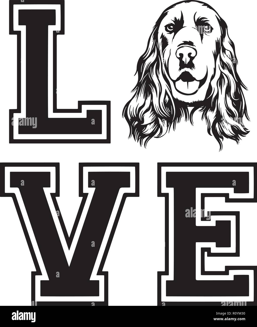 Cocker Spaniel Dog Breed Head Isolated Pedigree Pet Portrait Smiling ...