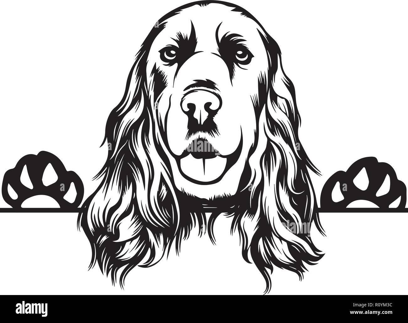 Dog Silhouette Cocker Spaniel High Resolution Stock Photography and ...