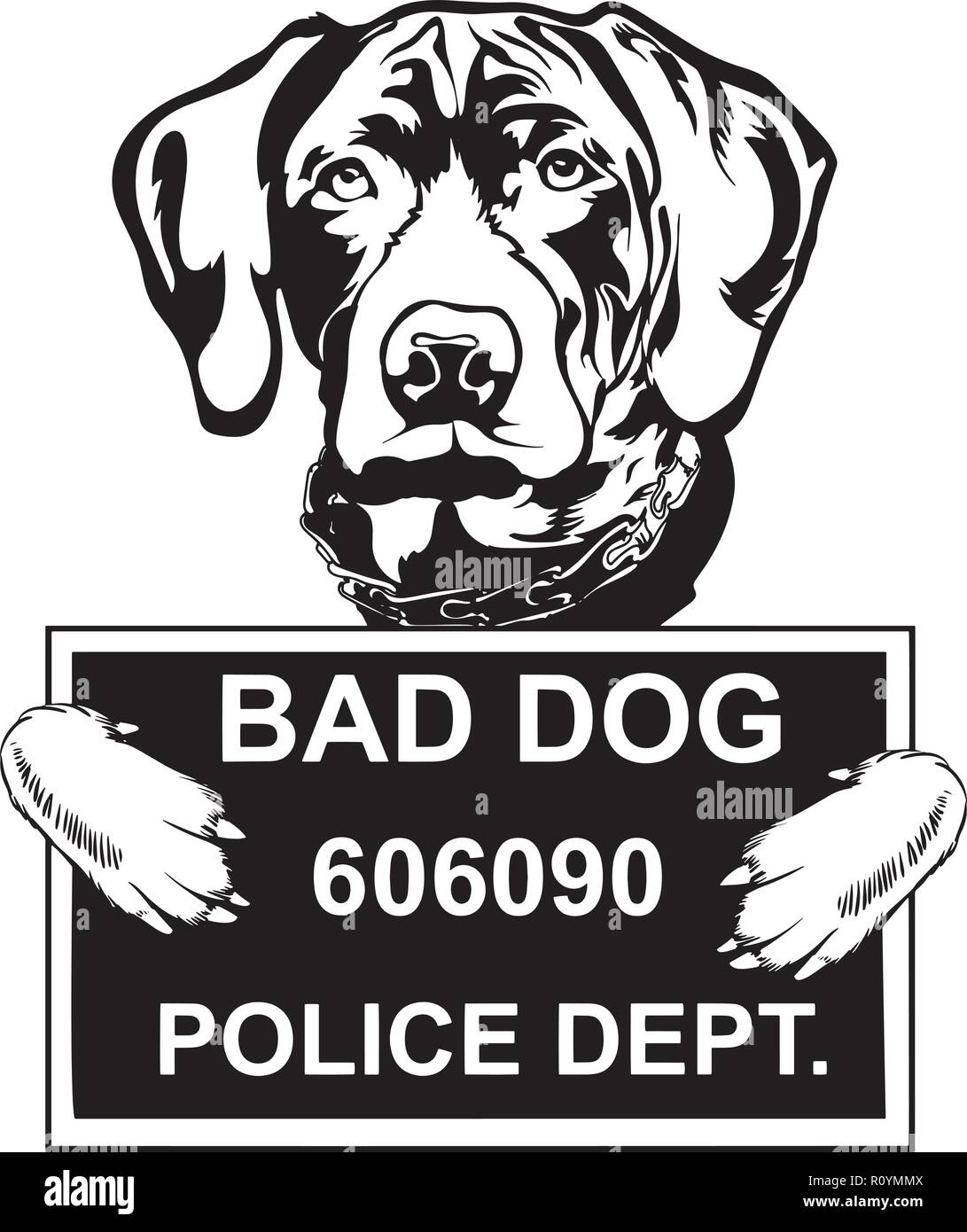 German Shorthaired Pointer Dog Breed Head Isolated Pedigree Pet ...