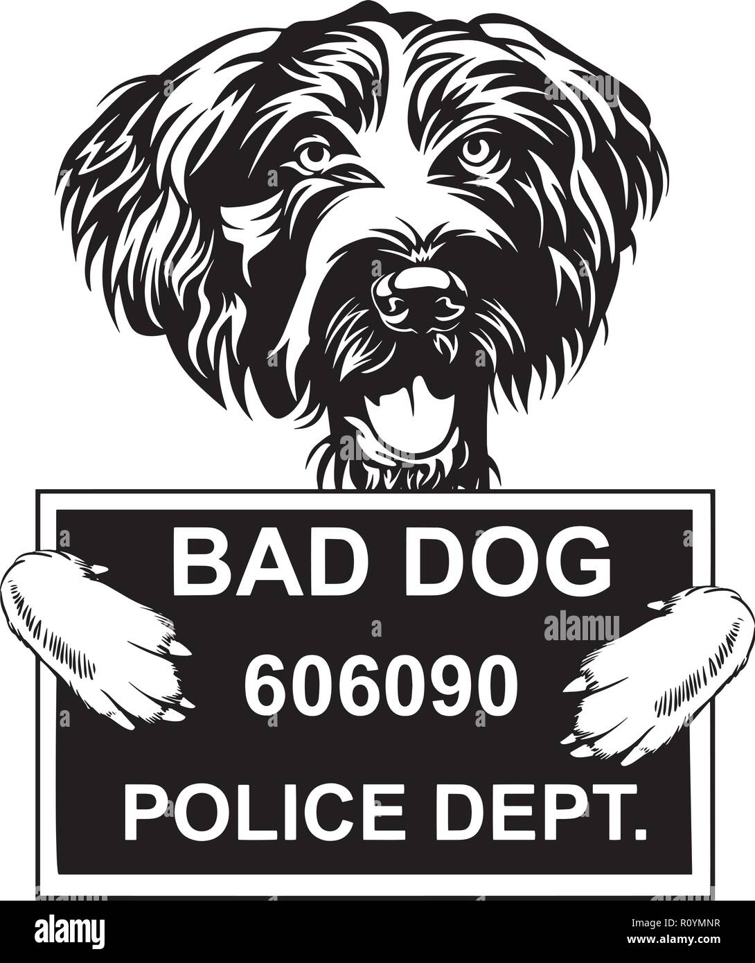 German Wirehaired Pointer Dog Breed Head Isolated Pedigree Pet Portrait ...