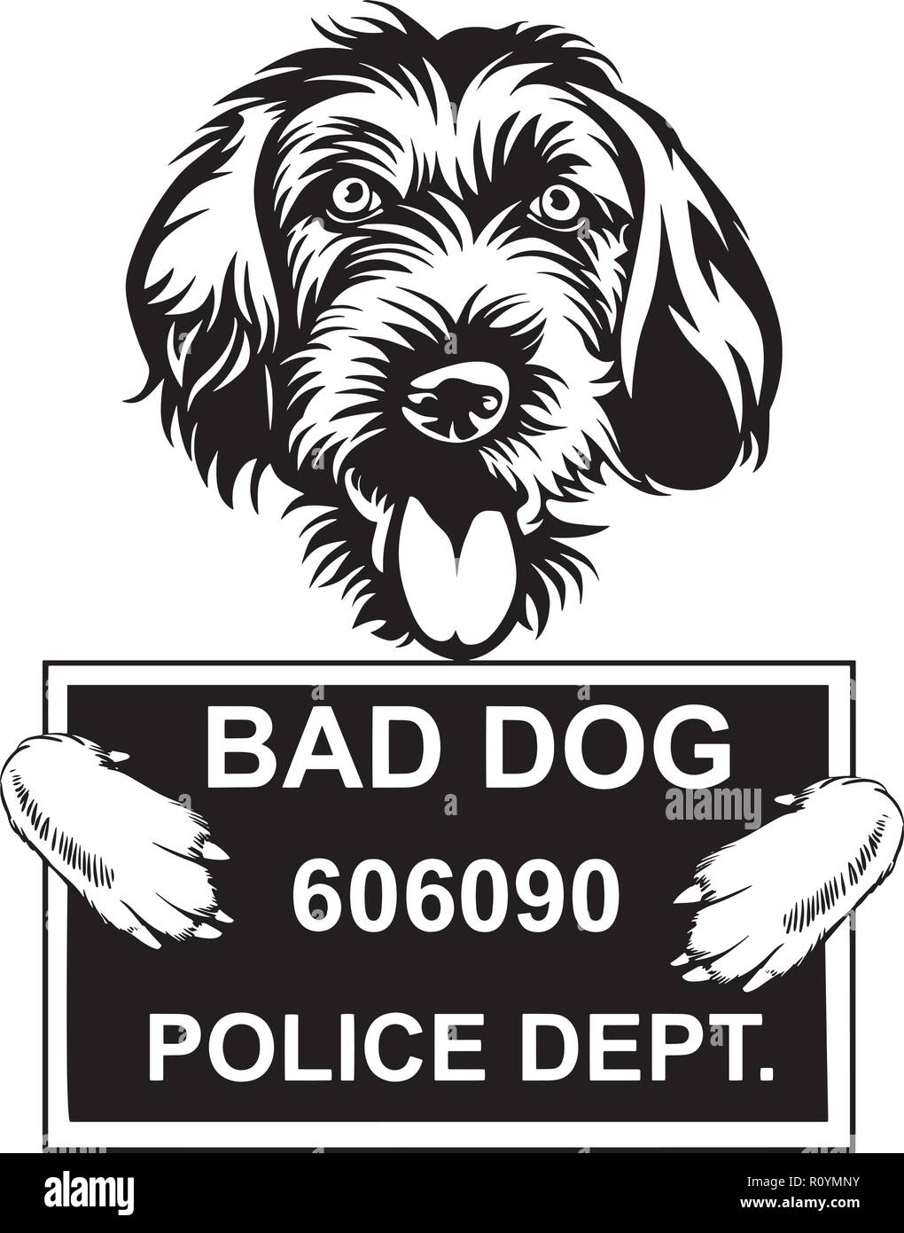 German Wirehaired Pointer Dog Breed Head Isolated Pedigree Pet Portrait ...