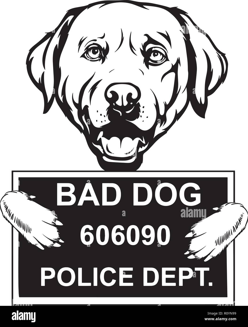 Labrador Retriever Dog Breed Head Isolated Pedigree Pet Portrait ...