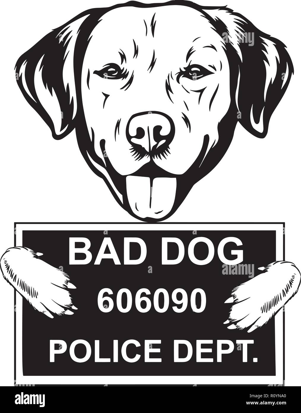 Labrador Retriever Dog Breed Head Isolated Pedigree Pet Portrait ...