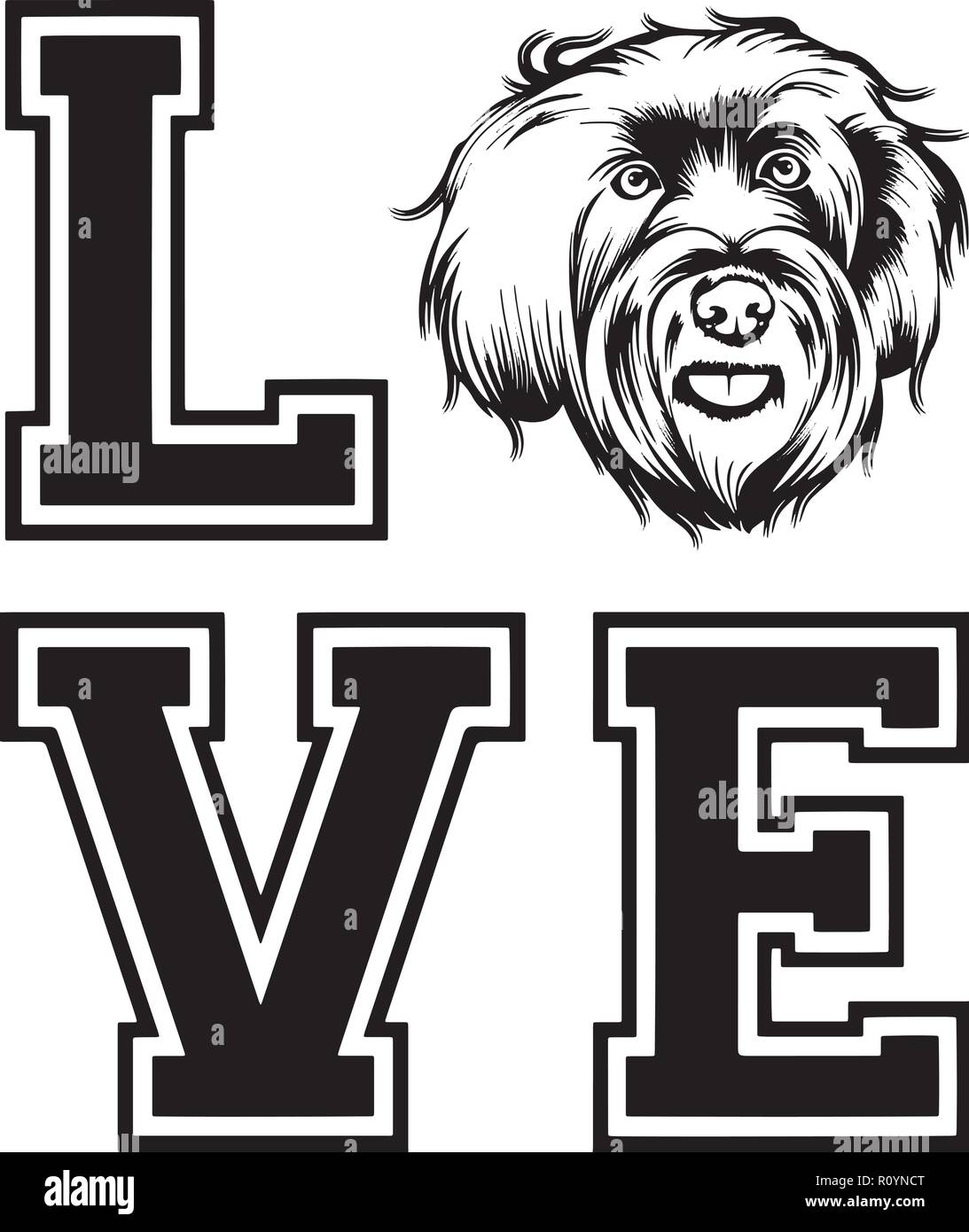 Labradoodle Dog Breed Head Isolated Pedigree Pet Portrait Smiling Happy ...